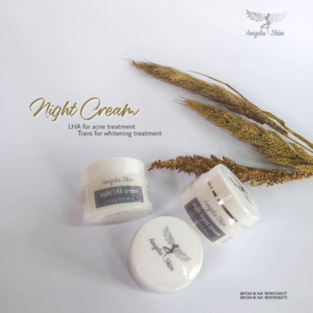 Jual Angela Skin Night Cream BPOM | Shopee Indonesia