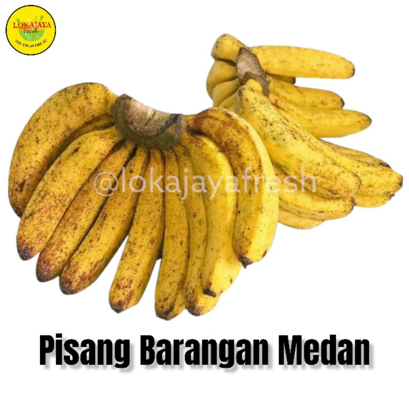 Jual Pisang Barangan Medan Super Besar 1 Sisir | Shopee Indonesia
