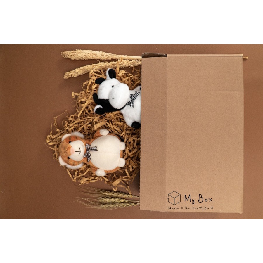 Jual Dus 60x40x30 cm/ 60 x 40 x 30 cm/ Kardus Kotak Box Packing ...