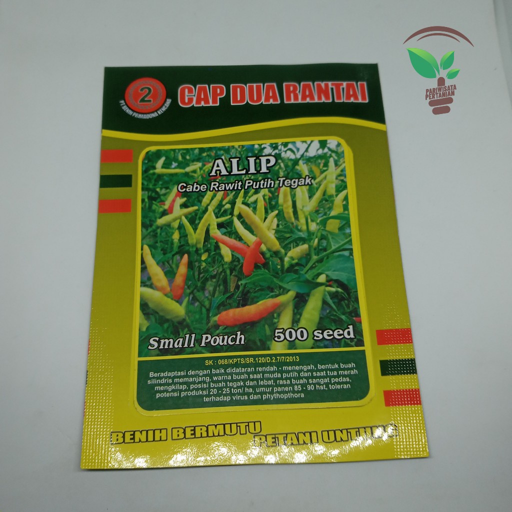 Jual cabe rawit putih tegak 500 seed_ ALIP | Shopee Indonesia