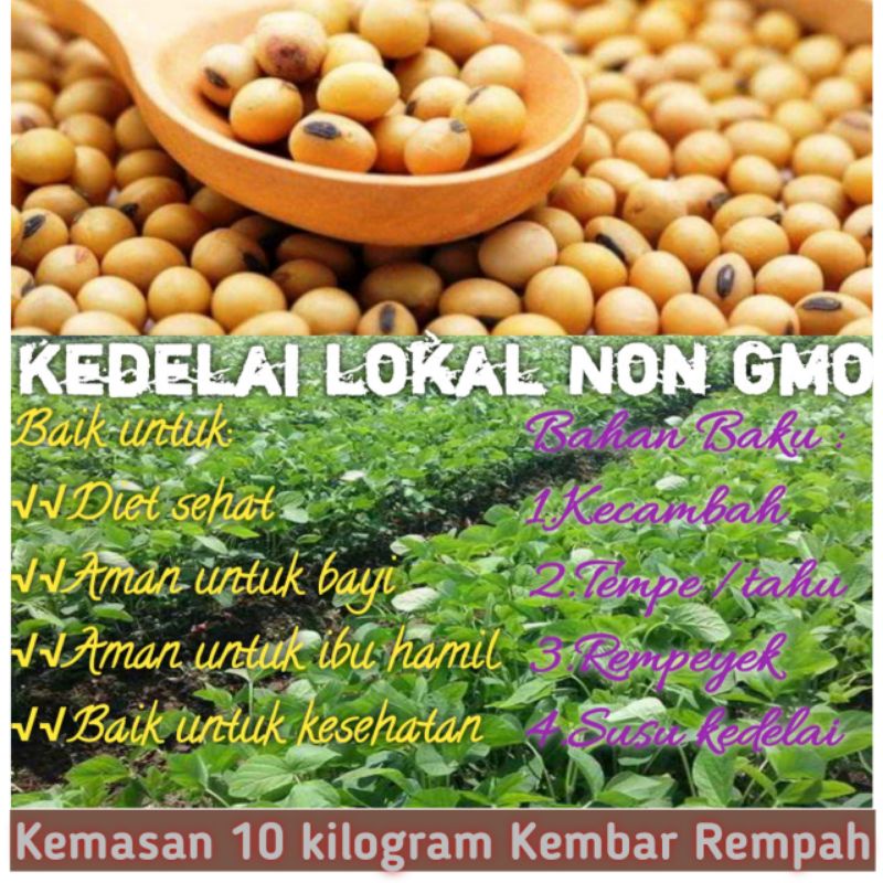 Jual Kedelai lokal putih 10 kg | Shopee Indonesia