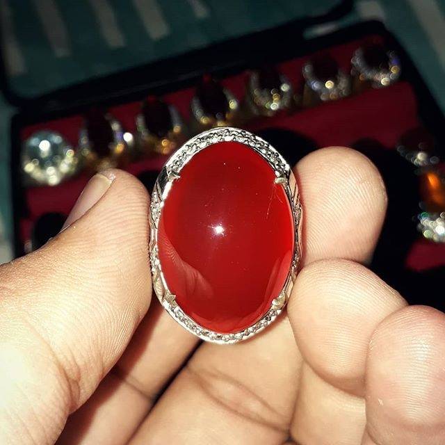 Jual RED RAFFLESIA JUMBO BENGKULU 10 | Shopee Indonesia