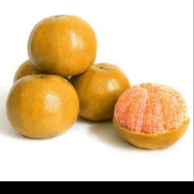 Jual Buah segar jeruk medan manis 1kg | Shopee Indonesia