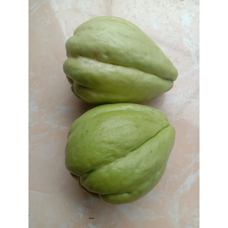 Jual labu siam per biji | Shopee Indonesia