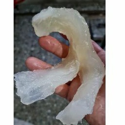 Jual urat sapi matang / tendon / koyor @500 gram dan 1000 gram | Shopee ...