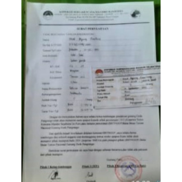 Jual Simaksi dan Asuransi Kesehatan | Shopee Indonesia