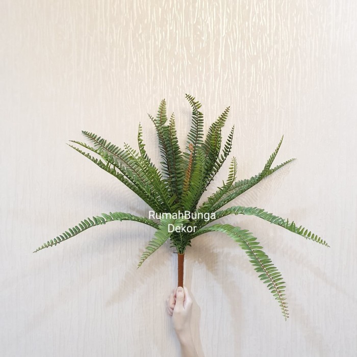 Jual Daun Pakis Besar Artificial x25 | Shopee Indonesia