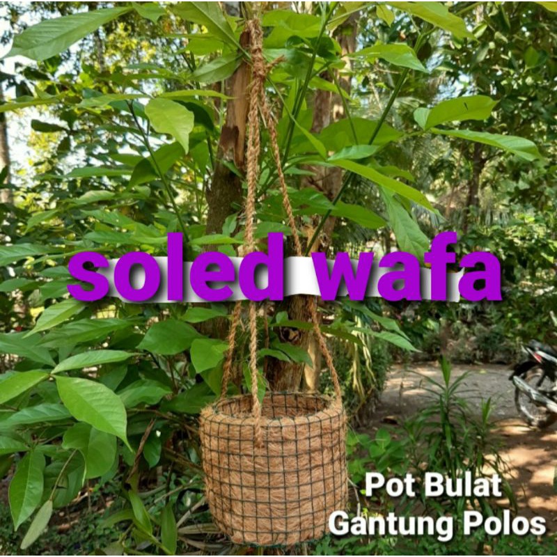 Jual POT BUNGA POT TANAMAN GANTUNG BULAT SERABUT KELAPA POLOS | Shopee ...