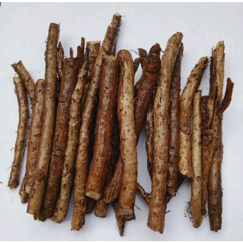 Jual Akar Pisang Segar 1 Kg/Akar Pohon Pisang | Shopee Indonesia