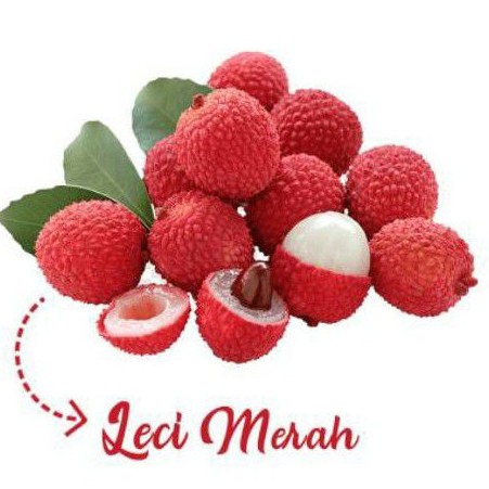 Jual PREMIUM PUNYA !!! LECI MERAH ROYAL 1KG FREE BOX CANTIK / BUAH ...