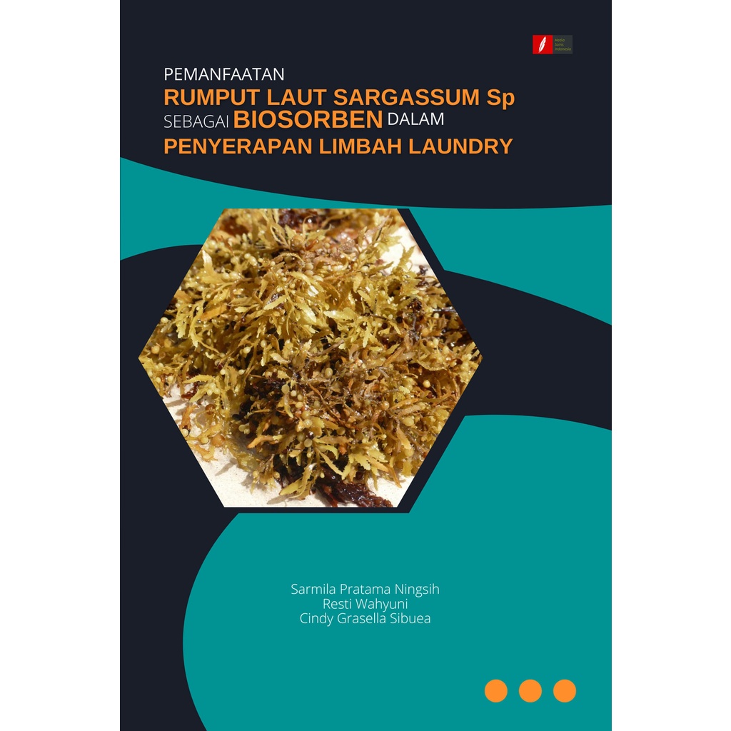 Jual Pemanfaatan Rumput Laut Sargassum SP Sebagai Biosorben dalam ...
