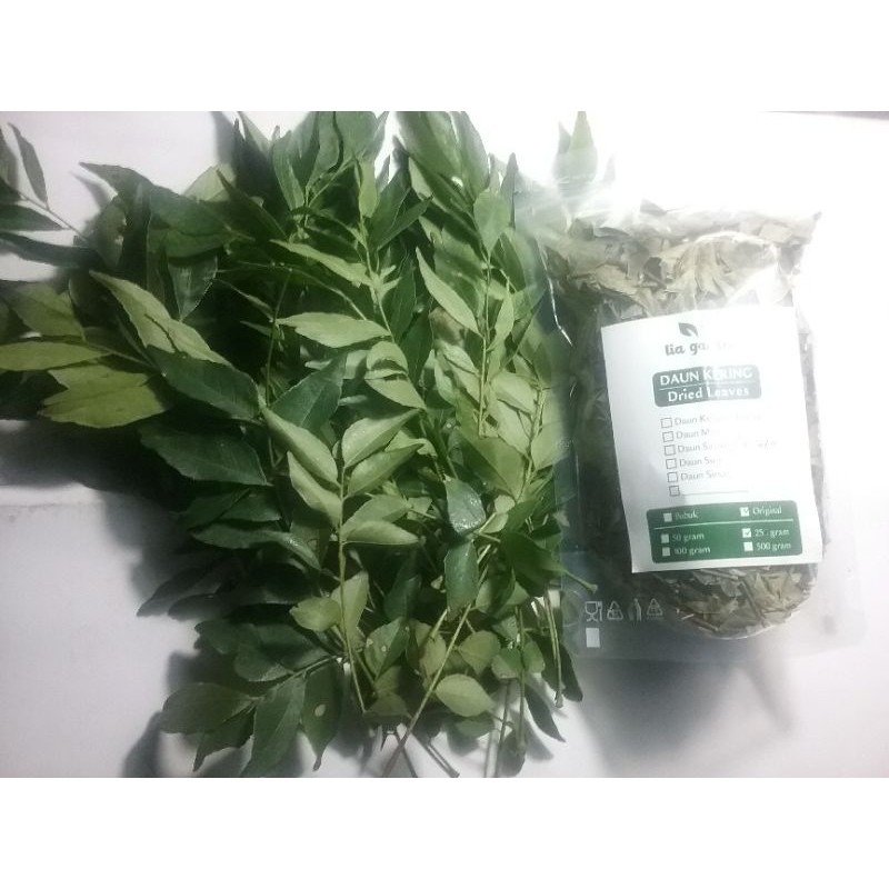 Jual DAUN SALAM KOJA/ DAUN KARE/ DAUN TEMURU/ DAUN KOROKELING KERING KEMASASAN 25 GRAM | Shopee ...