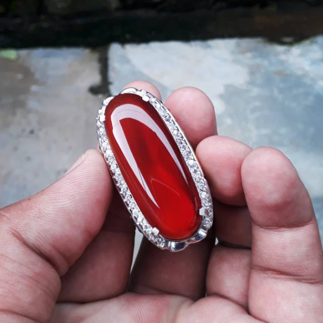 Jual RED RAFFLESIA JUMBO + PERAK TEBAL | Shopee Indonesia