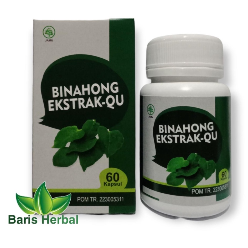 Jual BINAHONG EKSTRAK-QU 60 Kapsul || Kapsul Binahong Inayah 60 Kapsul Original | Shopee Indonesia