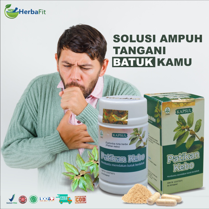 Jual Obat Batuk Berdahak | Obat Bronkitis | Obat Herbal PATIKAN KEBO ...