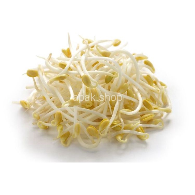 Jual Sayur Toge 250 Gram | fresh vegetables | Shopee Indonesia