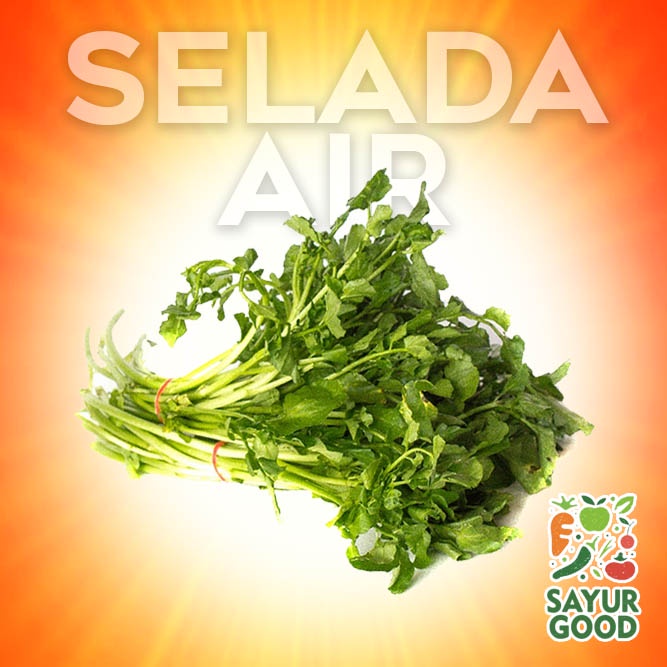 Jual Daun Selada Air Segar / Ikat (Sayur Segar) | Shopee Indonesia