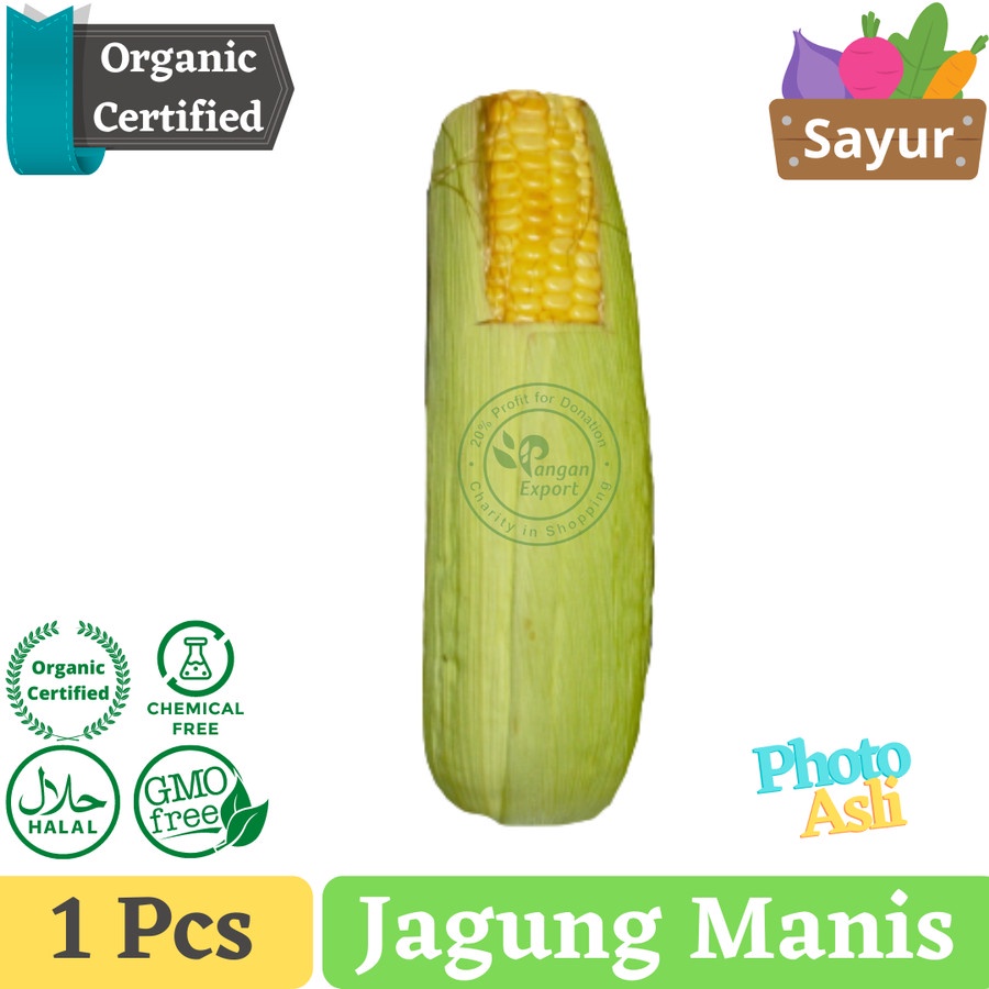 Jual Jagung Madu Manis Besar Premium by Pangan Export | Shopee Indonesia