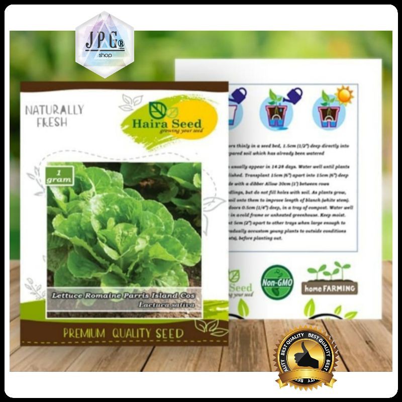Jual Benih Lettuce Green Romaine Parris Island Cos Selada Green Romaine Kemasan Repact | Shopee ...