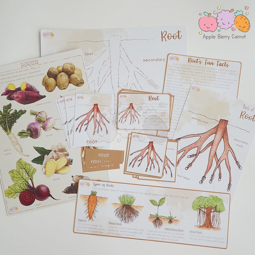 Jual MONTESSORI BOTANY SERIES - ROOTS | Shopee Indonesia