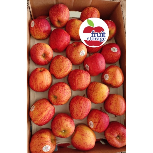 Jual Apel Royal Gala Import Buah apel impor 900g | Shopee Indonesia