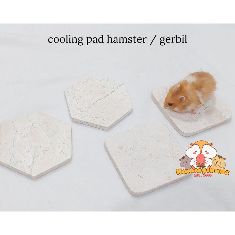 Jual HAMMYLANDS - Cooling pad hamster | pendingin hamster | mainan ...