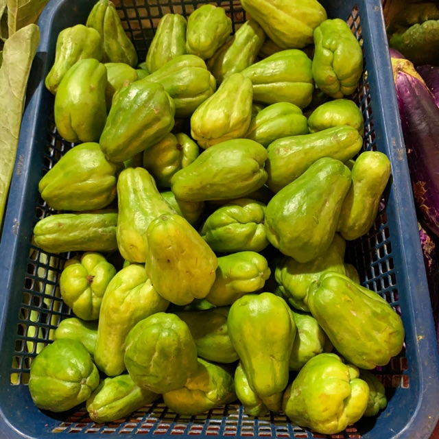 Jual Labu baby segar | Shopee Indonesia