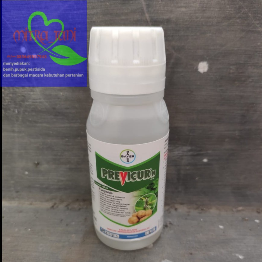 Jual Fungisida Sistemik PREVICUR-N 722SL 100ml dari BAYER | Shopee ...