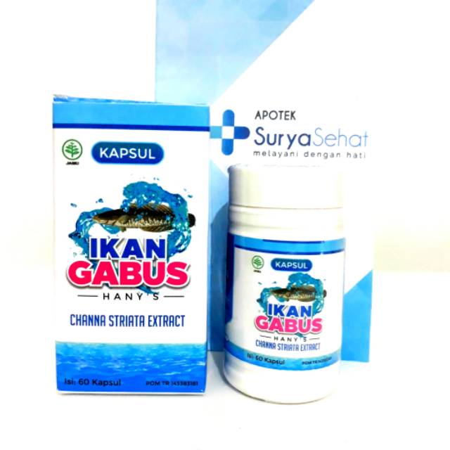 Jual Kapsul Ikan Gabus Hany's 60 kapsul - Kapsul Kutuk | Shopee Indonesia