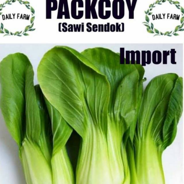 Jual Benih Bibit Sayur SAWI PAKCOY ( Sawi Sendok ) Kemasan Repack ...
