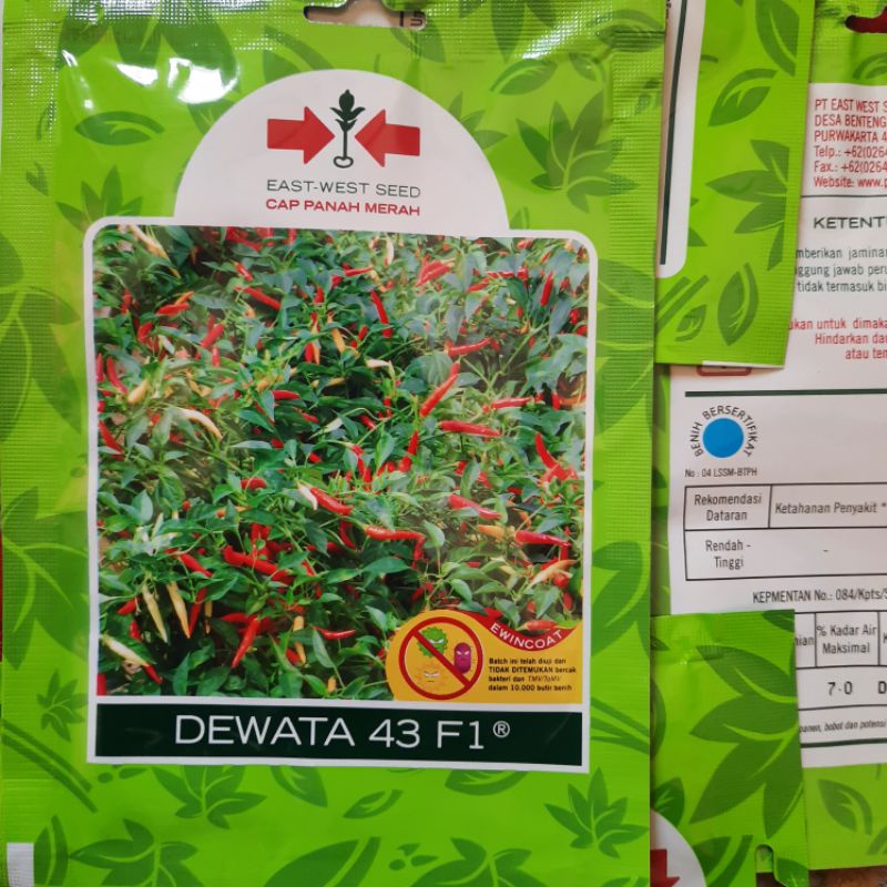 Jual Bibit Cabe HIBRIDA Rawit Setan DEWATA 43 F1 isi 350 Butir Benih ...