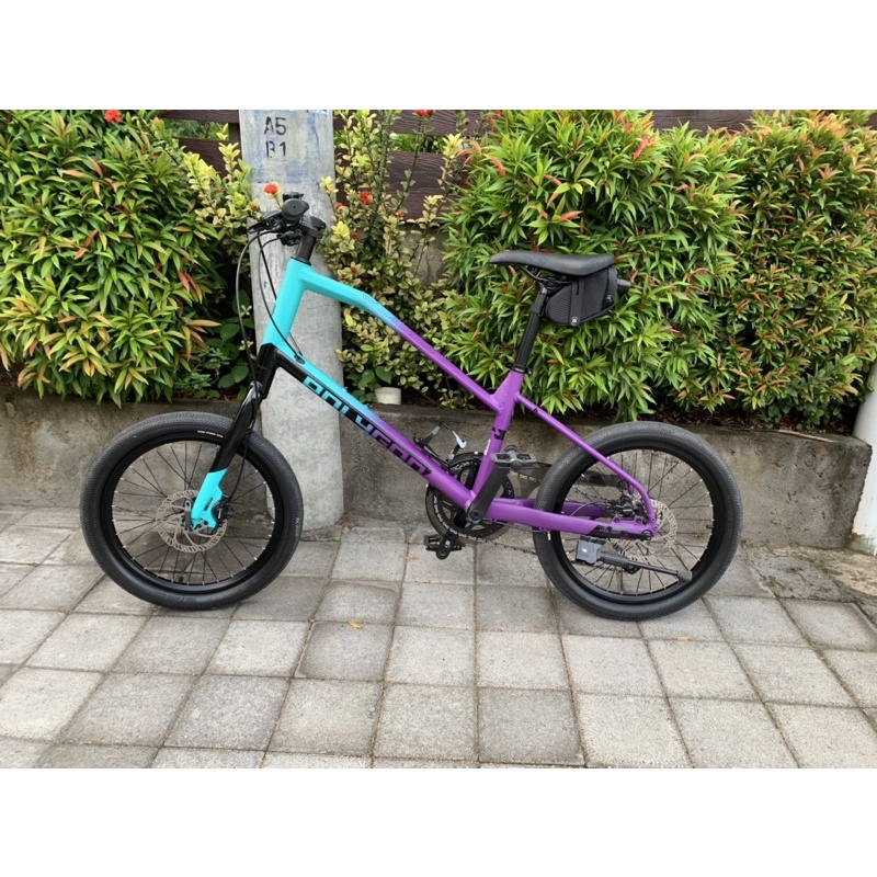 Jual Polygon Zeta 2 (COD Bali area only) | Shopee Indonesia