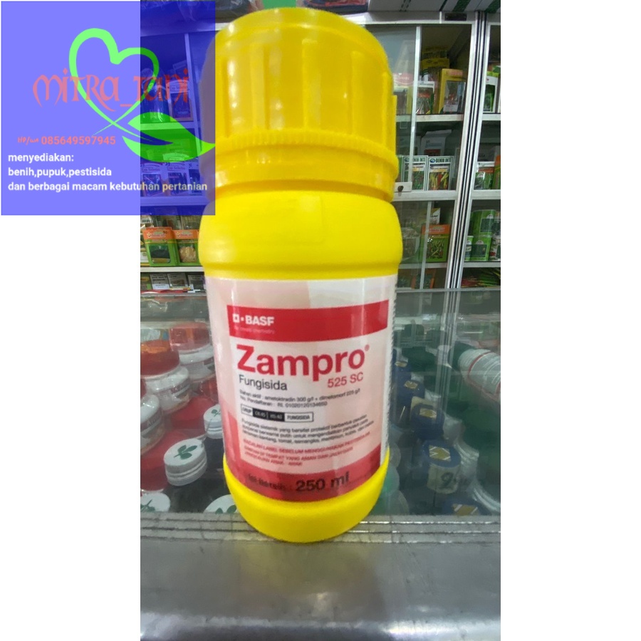 Jual Fungisida sistemik ZAMPRO 525SC isi 250ml dr BASF | Shopee Indonesia