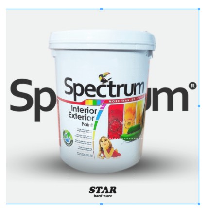 Jual SPECTRUM Cat Tembok Interior Exterior Pail 25 Kg - Base DBC / Wall ...