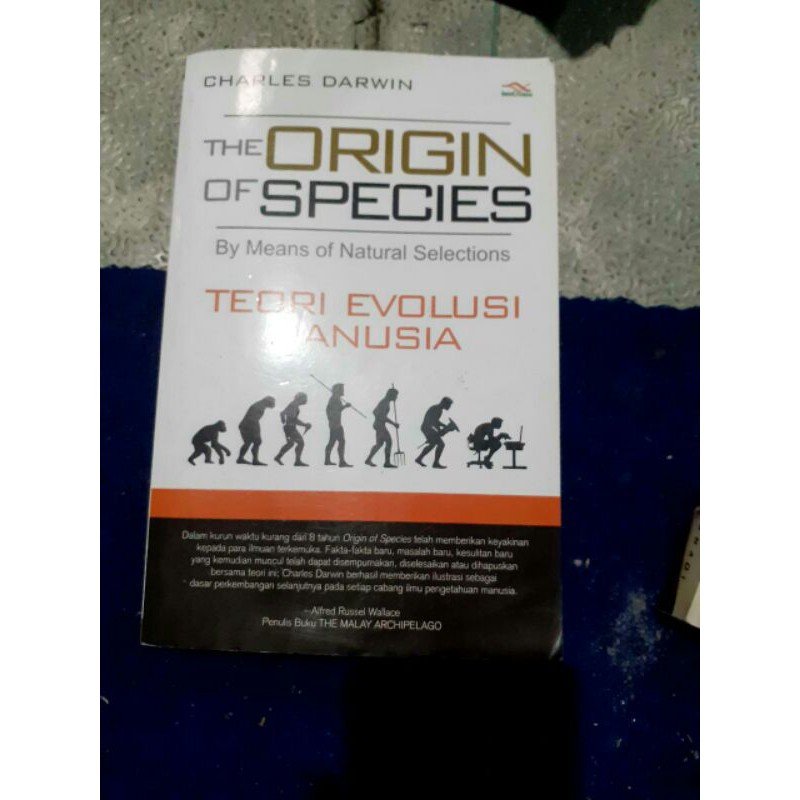 Jual TEORI EVOLUSI MANUSIA - CHARLES DARWIN | Shopee Indonesia