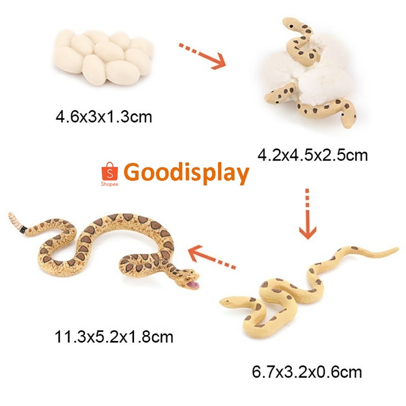 Jual aneka mainan edukasi siklus hidup hewan binatang animal figure ...