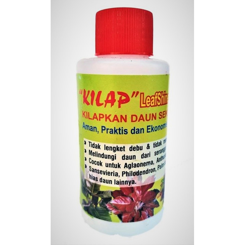 Jual Kilap Leafshine Pengkilap Oles Daun Aglonema 100 ml | Shopee Indonesia