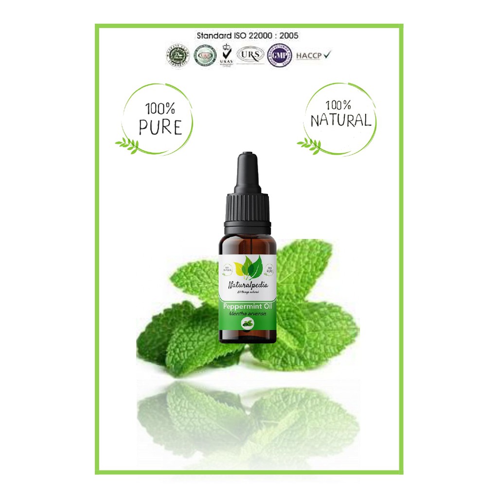 Jual Pure Peppermint Essential Oil / Minyak Esensial Atsiri Daun Mint Murni 10ml | Shopee Indonesia