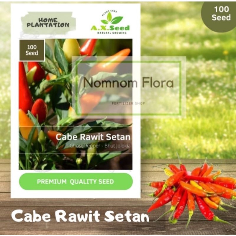 Jual Benih Bibit Cabe Rawit Setan (AX SEED) | Shopee Indonesia
