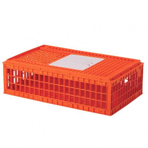 Jual Rabbit Container Plastik Ayam 9606 Orange | Shopee Indonesia