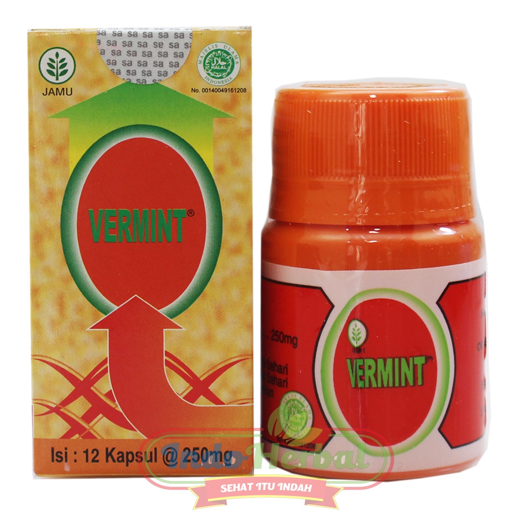 Jual Vermint | Vermin | Obat Penyakit Tifus / Tipes / Typus 12 Kapsul ...