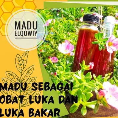 Jual Madu Kelanceng / Madu Lanceng Asli 100% dari Hutan Sumatra Trigona ...