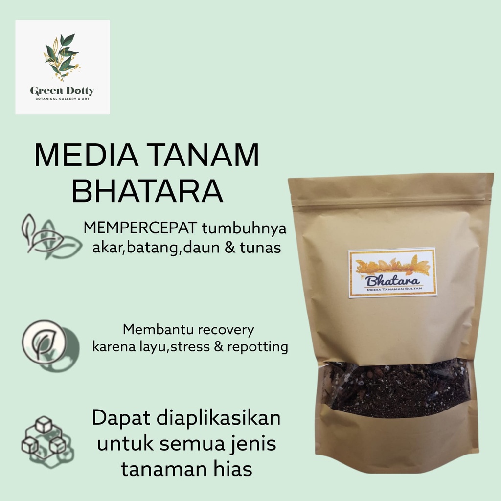 Jual Media Tanam Super Ajaib (BHATARA) | Shopee Indonesia