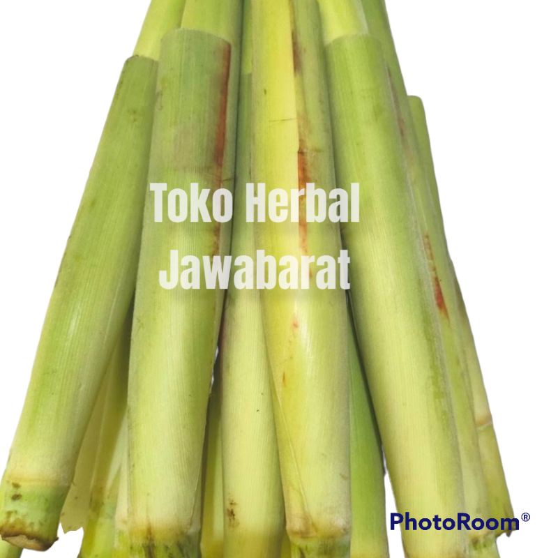 Jual sayuran terubuk segar/turubuk/terubus/bunga tebu 1 kg | Shopee ...