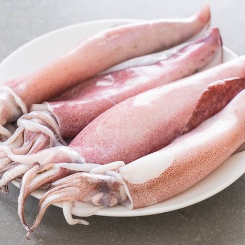 Jual Cumi Basah Cumi Segar 500 gr Seafood Segar Cikarang Pasar Murah ...