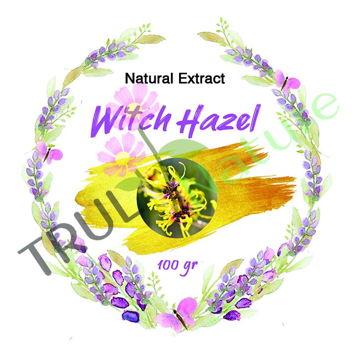 Jual Witch Hazel Extract / Hamamelis virginiana Leaf Extract | Shopee ...
