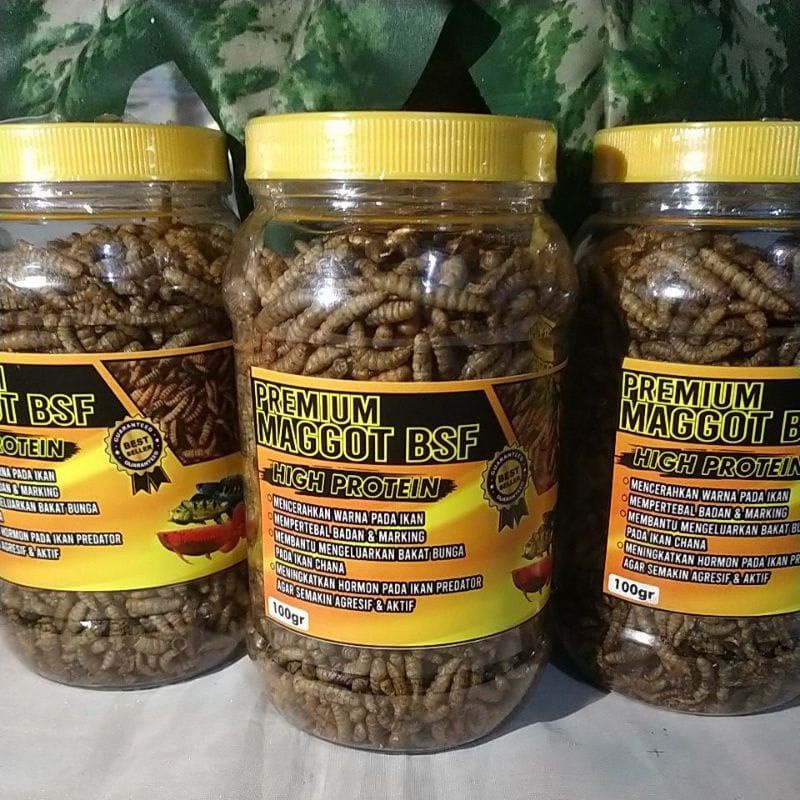 Jual Maggot 100gr Premium Bsf/Udang Kering( Pakan ikan Chana,Louhan,Oscar,Koi,Pbass ,Arwana ...