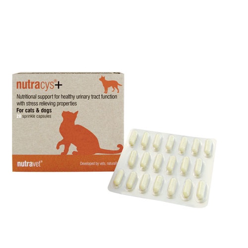 Jual Obat Pipis Kucing / Anjing NUTRACYS + Obat Saluran Kemih (1 kapsul ...