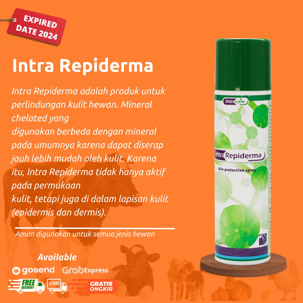 Jual Intra Repiderma Spray 250 ml - Pelindung Kulit Hewan Ternak/anti ...