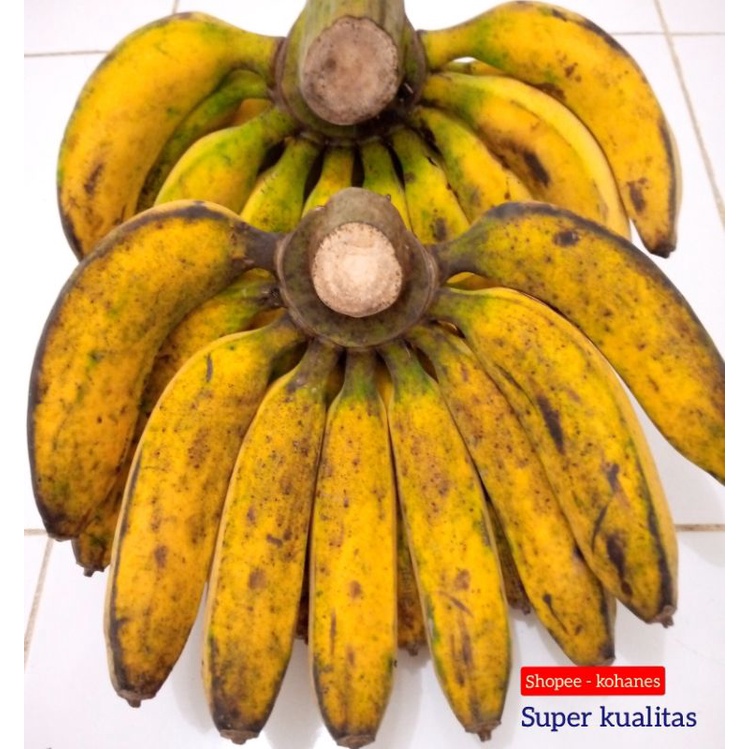 Jual PISANG RAJA MADU MANIS ( MATANG POHON) | Shopee Indonesia